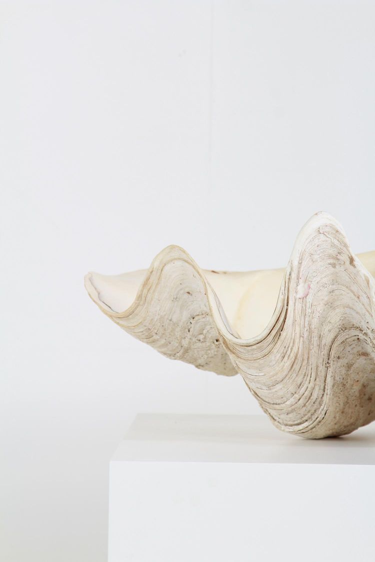 Daisy Grace – Daisy Grace Lifestyle