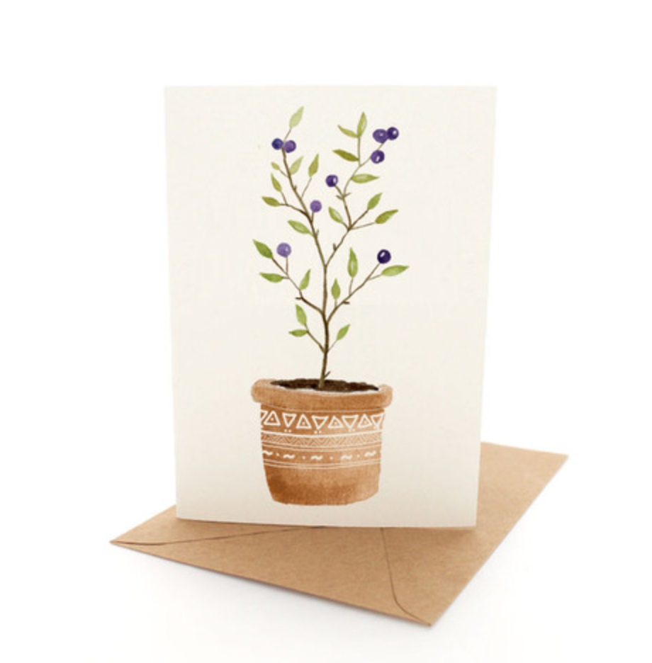 Olive Tree Card – Daisy Grace Lifestyle